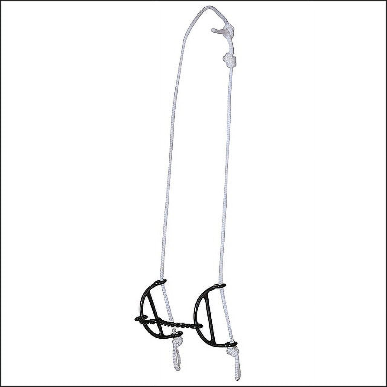 Sliding Gag Horse Bit