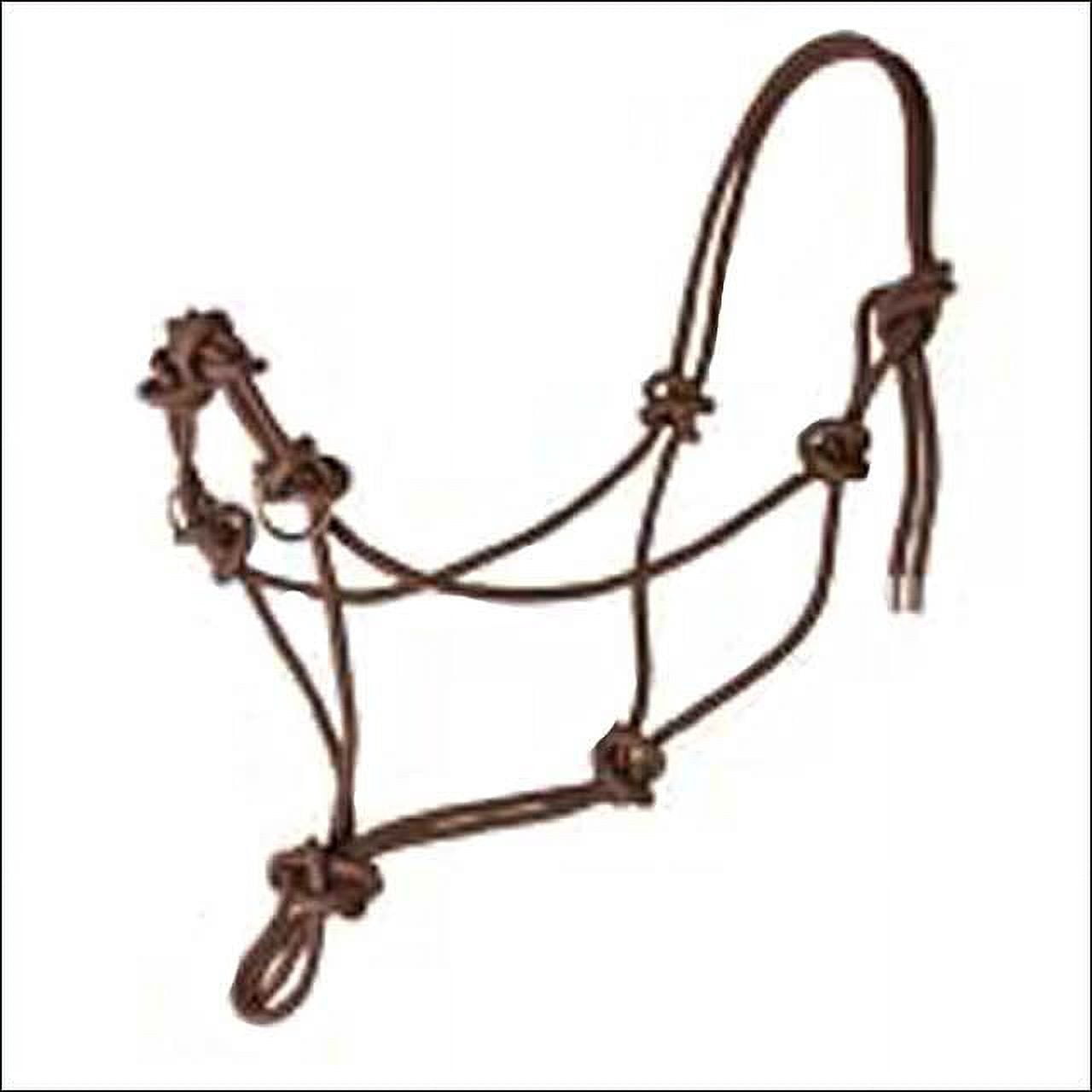 Hilason Horse Rope Halter, Side Pull Training Halter, Brown, Nickel ...