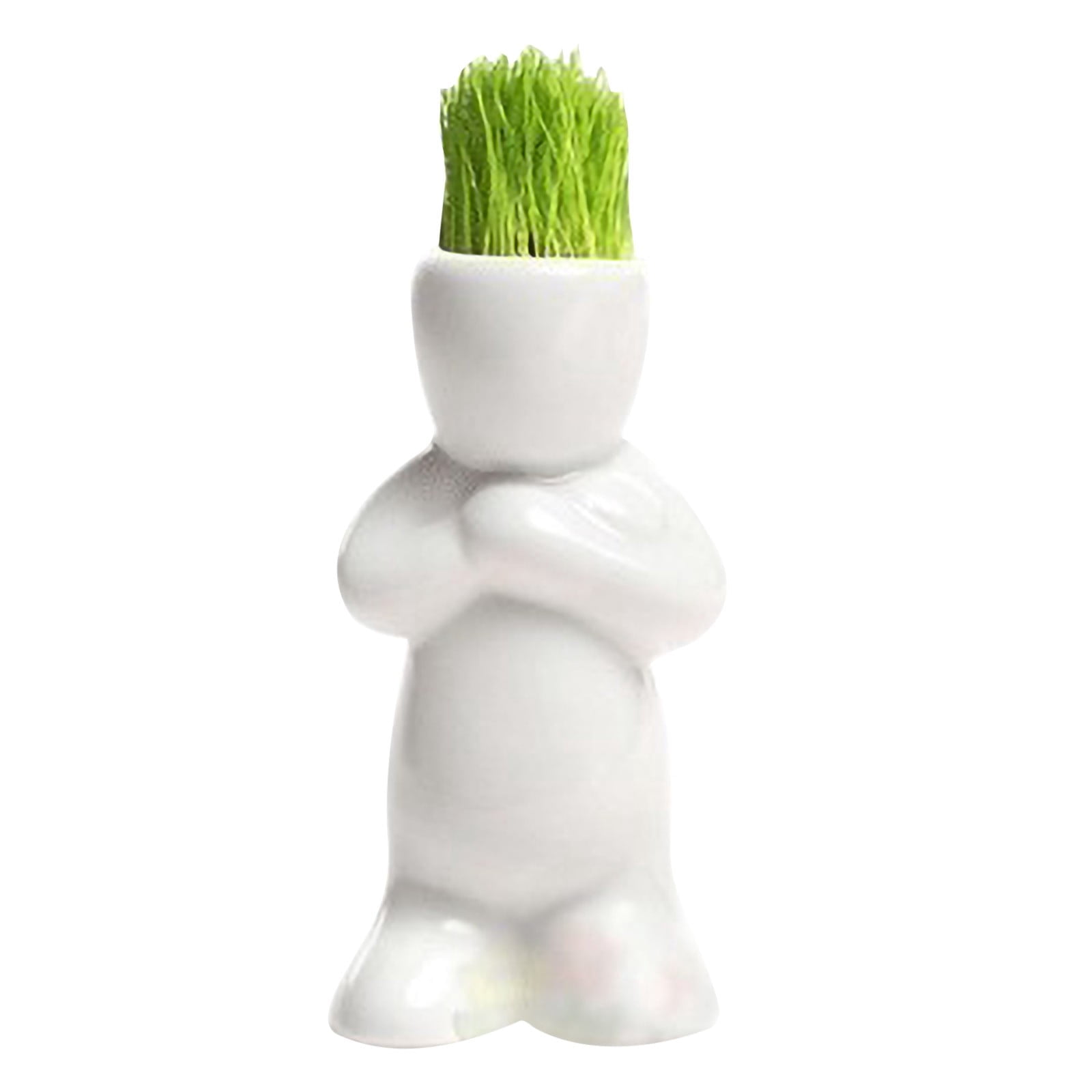 Hilingoto Clearance Seed Disseminators Mini Bonsai Head Grass Hair ...