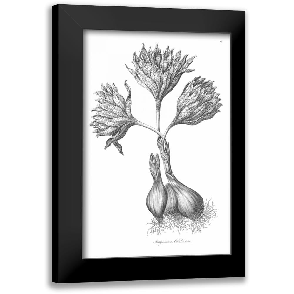 Hill, John 11x14 Black Modern Framed Museum Art Print Titled ...