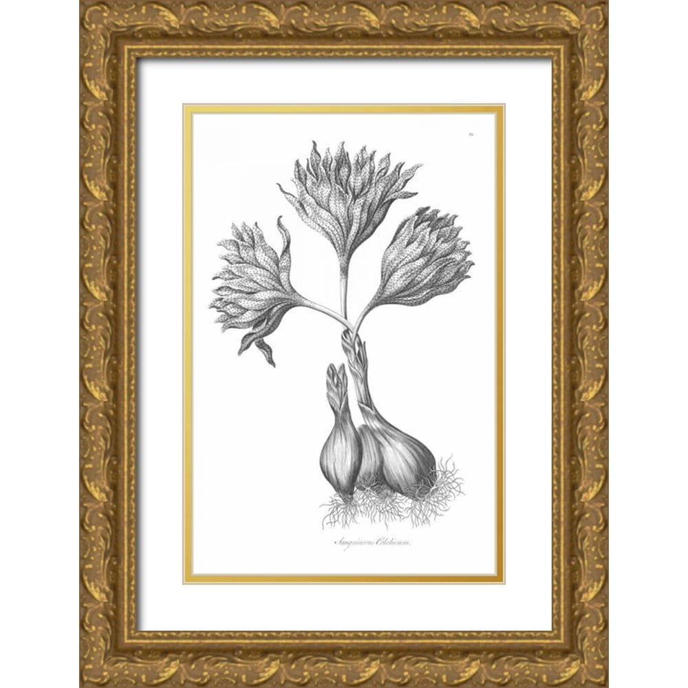 Hill, John 17x24 Gold Ornate Wood Framed with Double Matting Museum Art ...