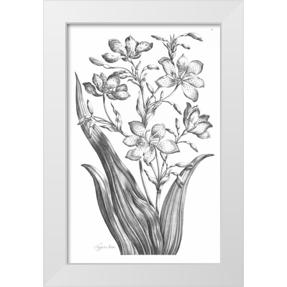 Hill, John 17x24 White Modern Wood Framed Museum Art Print Titled ...