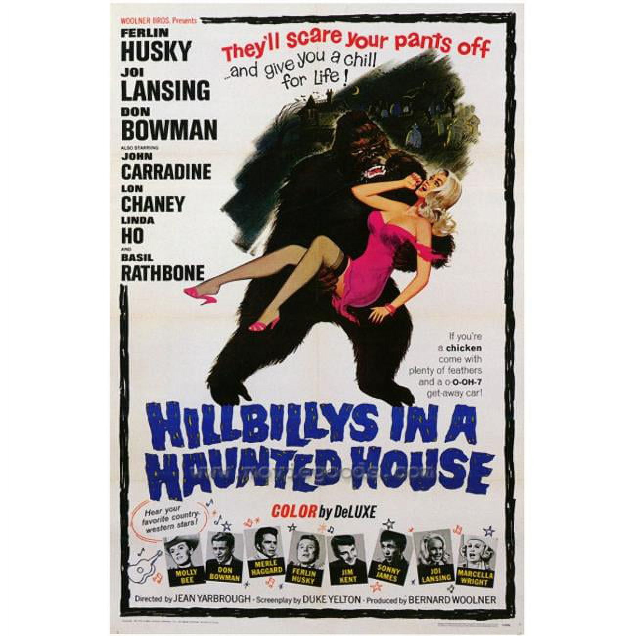 Hillbillys in a Haunted House Movie Poster - 27 x 40 in. - Walmart.com