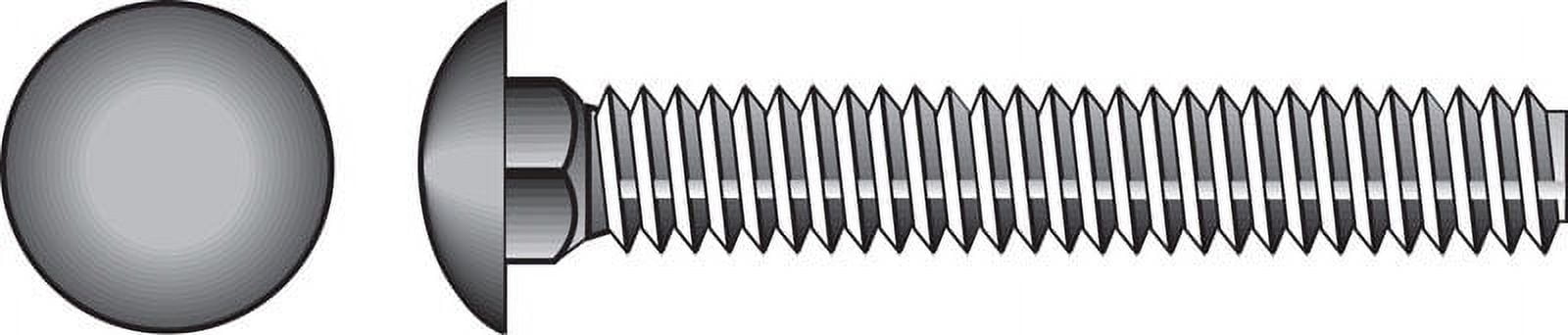 Hillman 1/4" Stainless Steel Carriage Bolt - Walmart.com