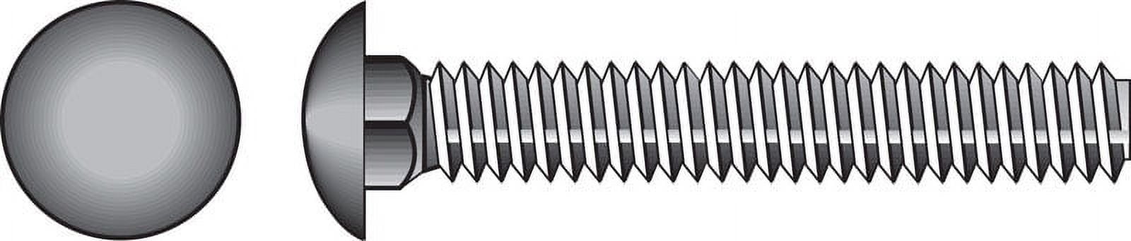 Hillman 1/4 in. Zinc-Plated Steel Carriage Bolt - Walmart.com