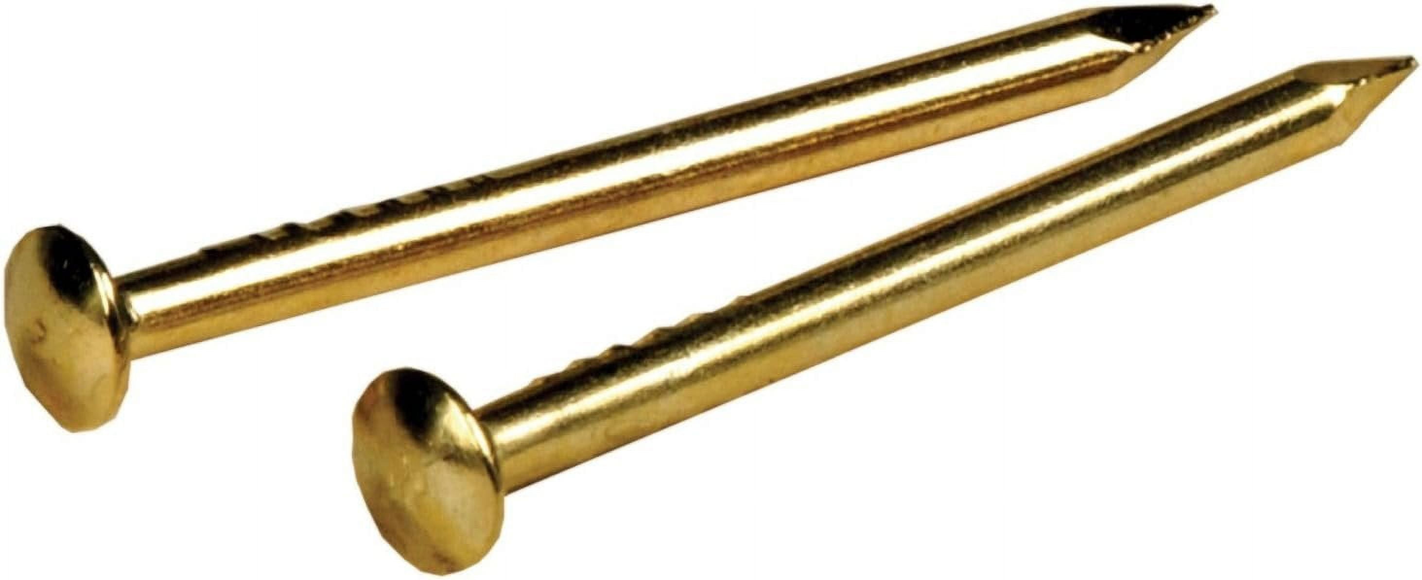 Hillman 16 Ga. x 3/4 in. L Brass-Plated Steel Escutcheon Pins 1 pk 1.5 ...
