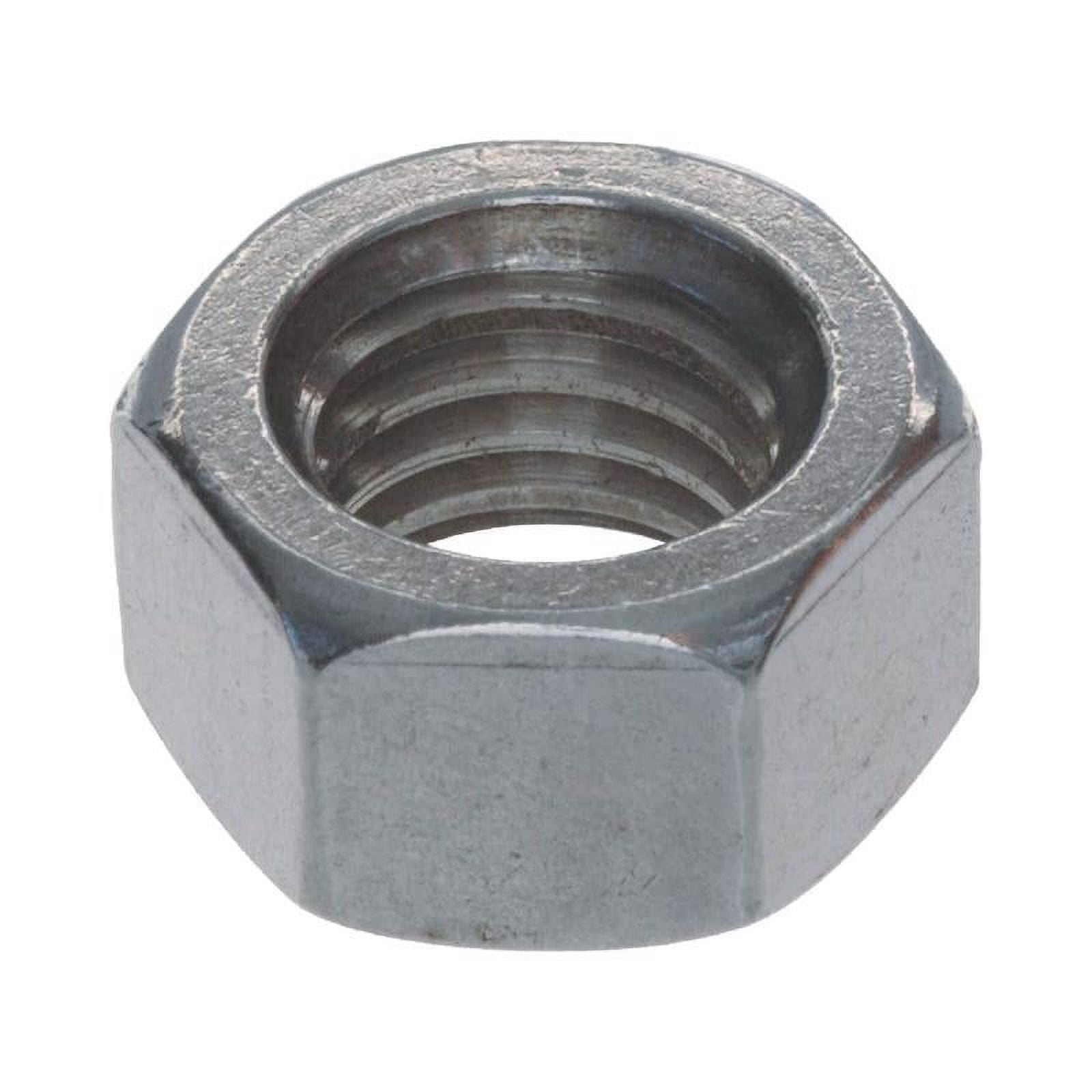 Hillman 1/4 In. 20 tpi Grade 2 Stainless Steel Hex Nuts (100 Ct ...