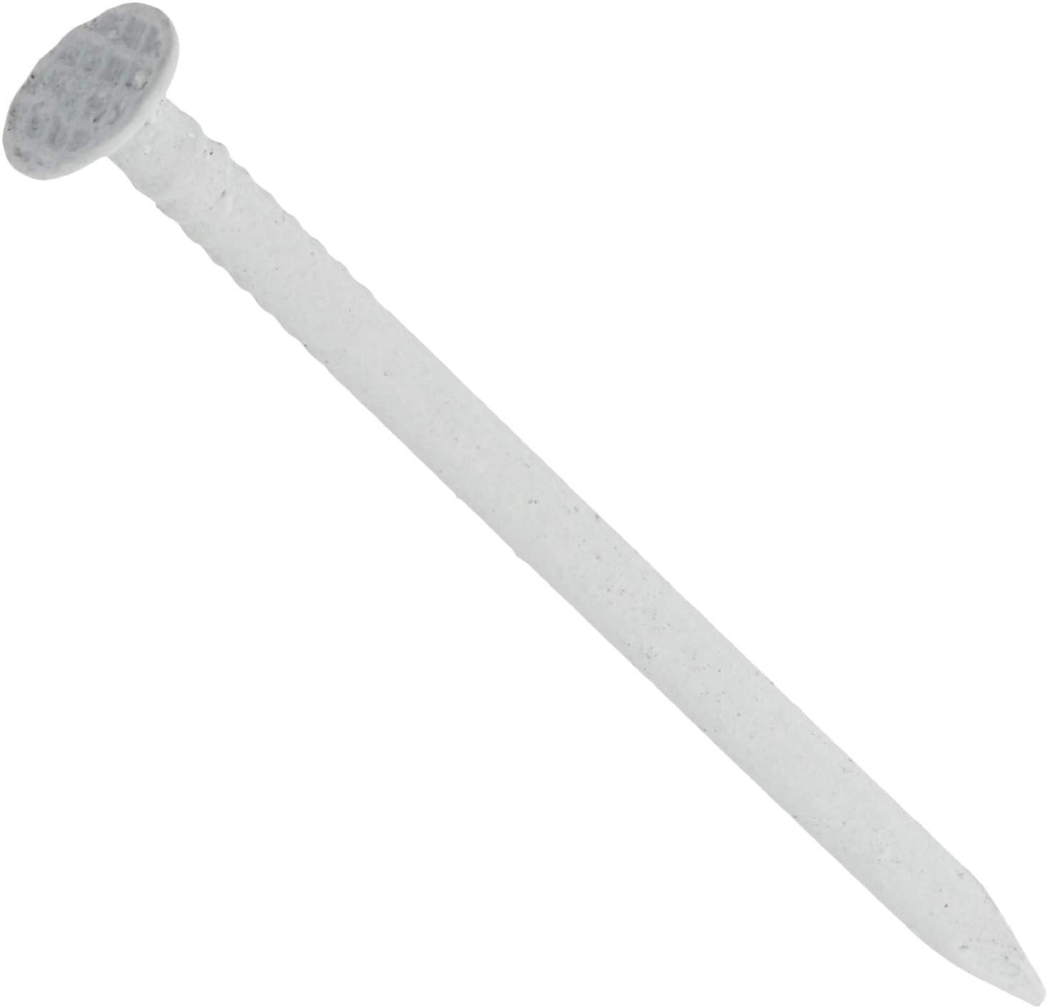 Hillman Trim Nail Wall Trim Nail - Stainless Steel - 1-1/4 In, White, 6 ...