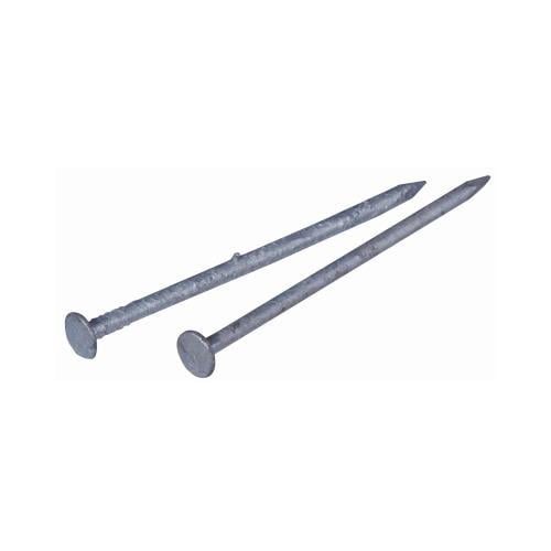Hillman Fasteners 461279 Galvanized Common Nails, 2" x 6D, 1 Lb, Each ...