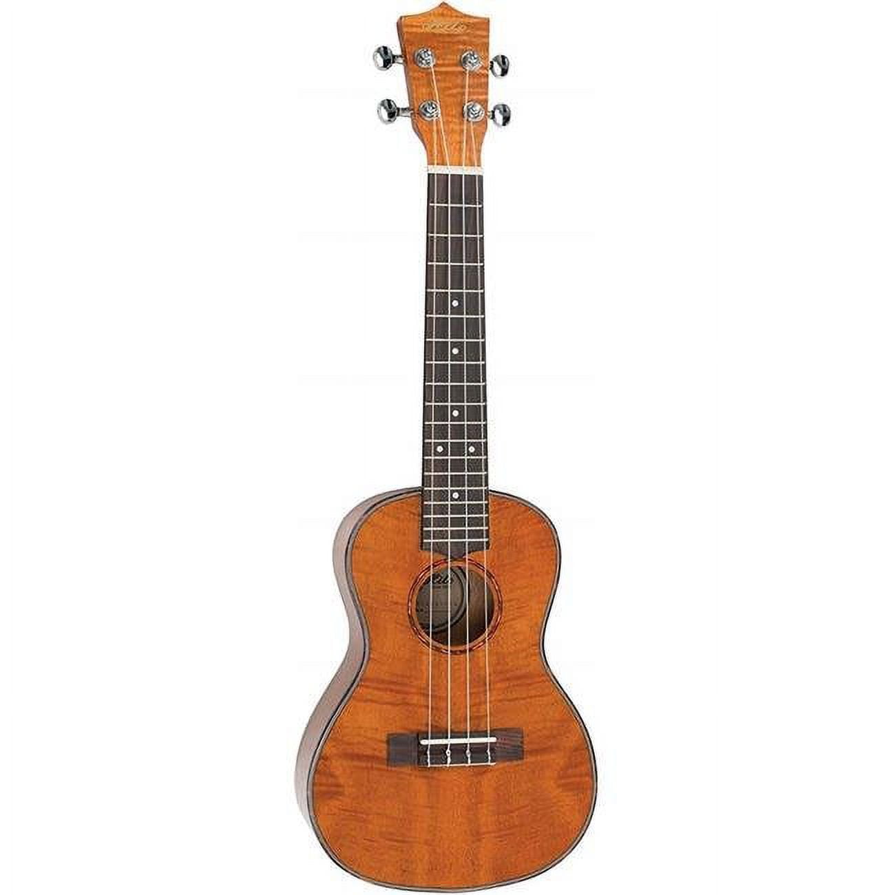 Hilo 2956-A-U Premier Series Okoume Concert Ukulele with Gigbag ...