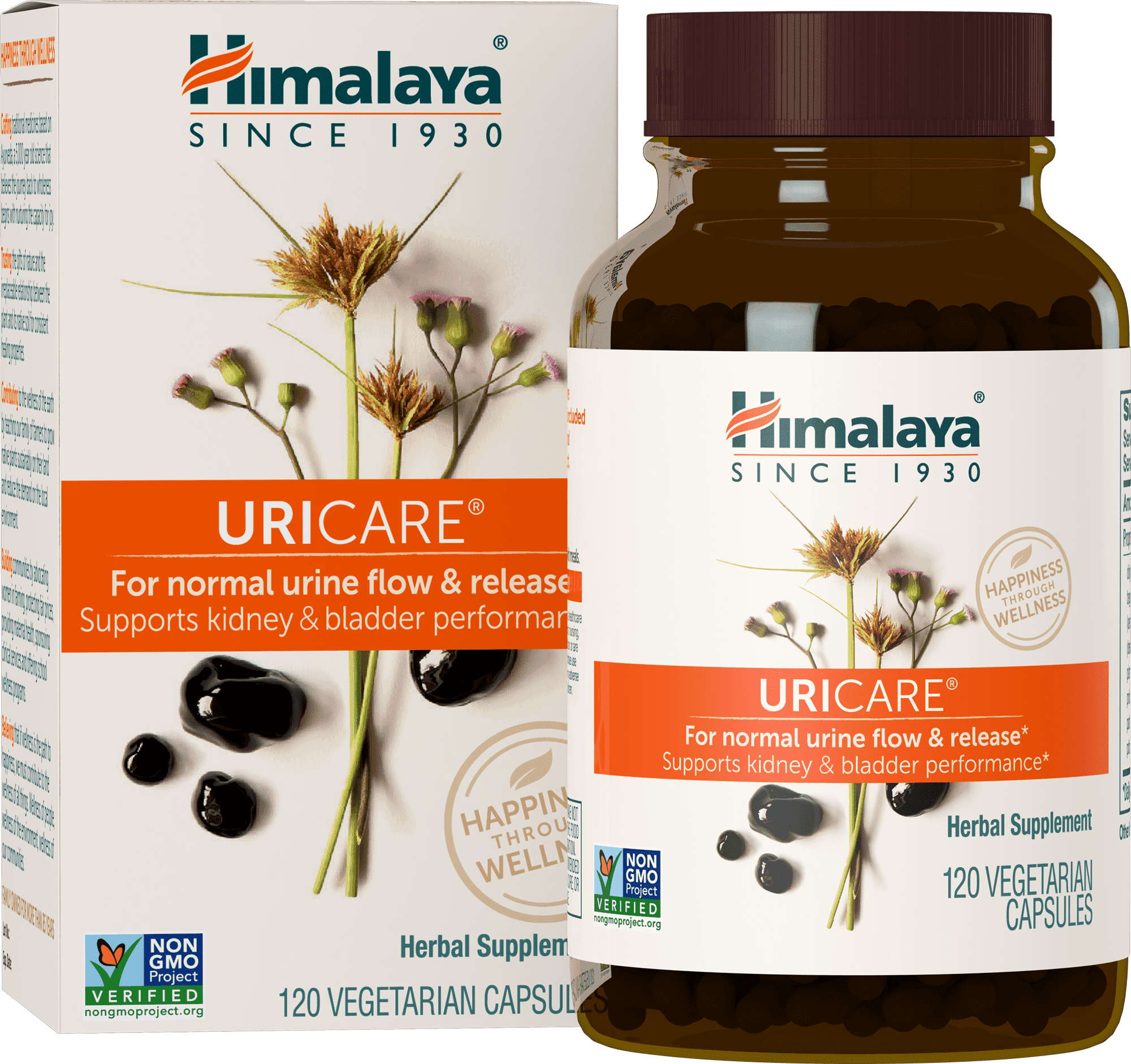 Himalaya UriCare Herbal Supplement, Kidney & Bladder Support, Urinary ...