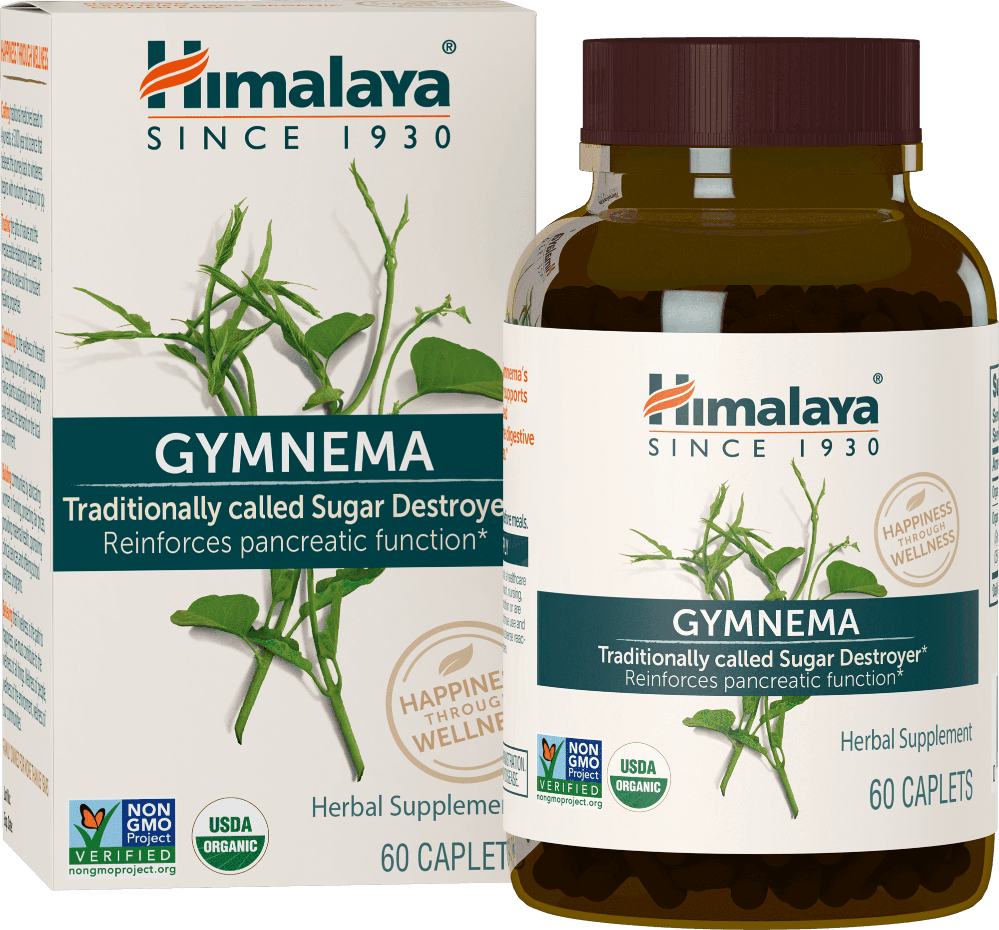 Himalaya Gymnema Herbal Supplement, 60 Caplets, Supports Blood Sugar ...