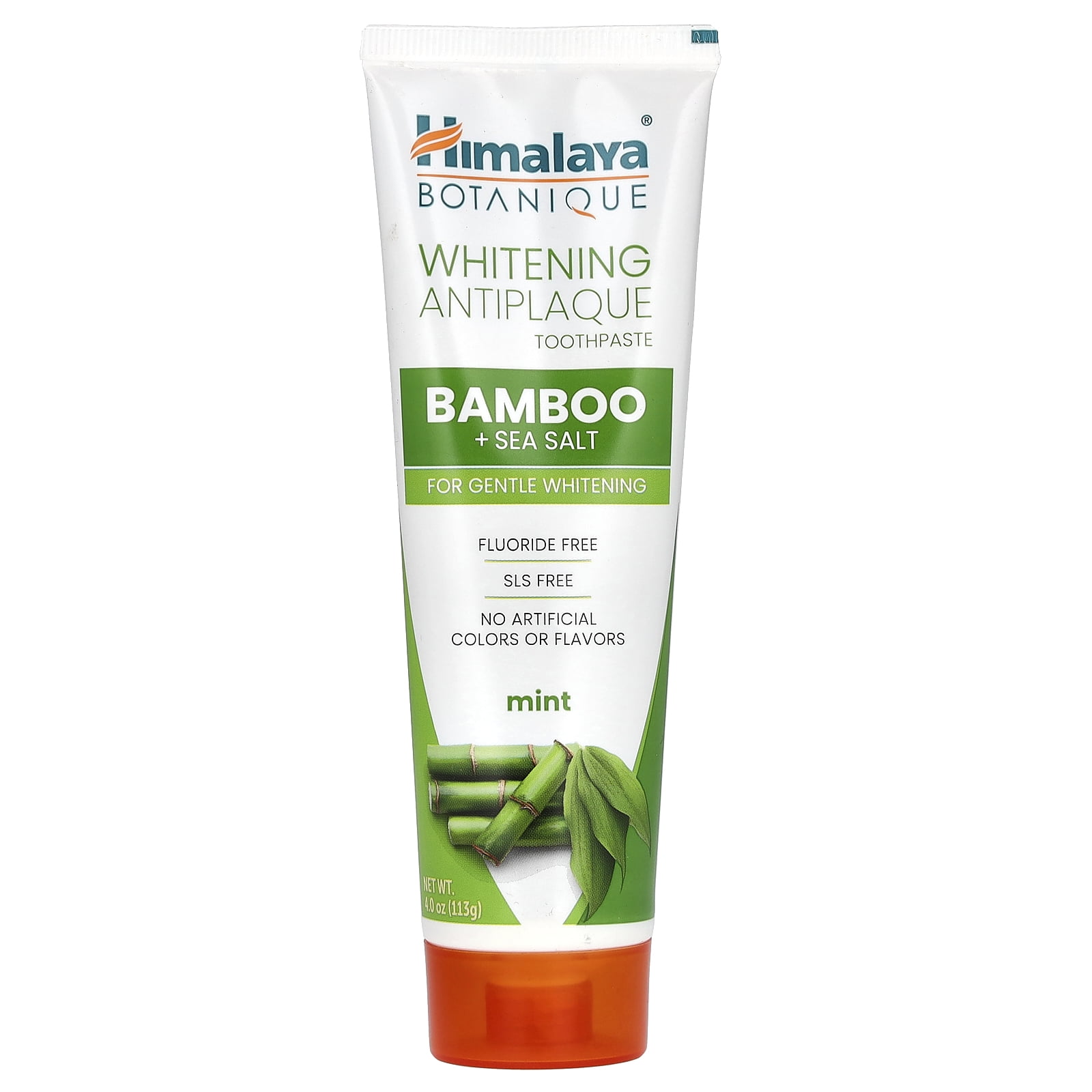 Bamboo Salt Toothpaste