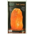 Himalayan Salt Lamp 10 Inch Wood Base - Walmart.com