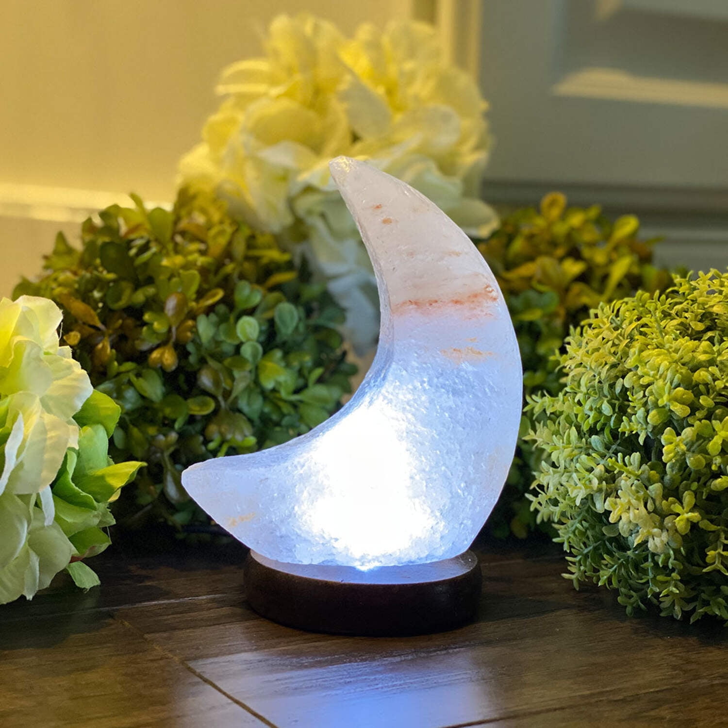 Himalayan Salt Moon USB Plugin Lamp - Walmart.com
