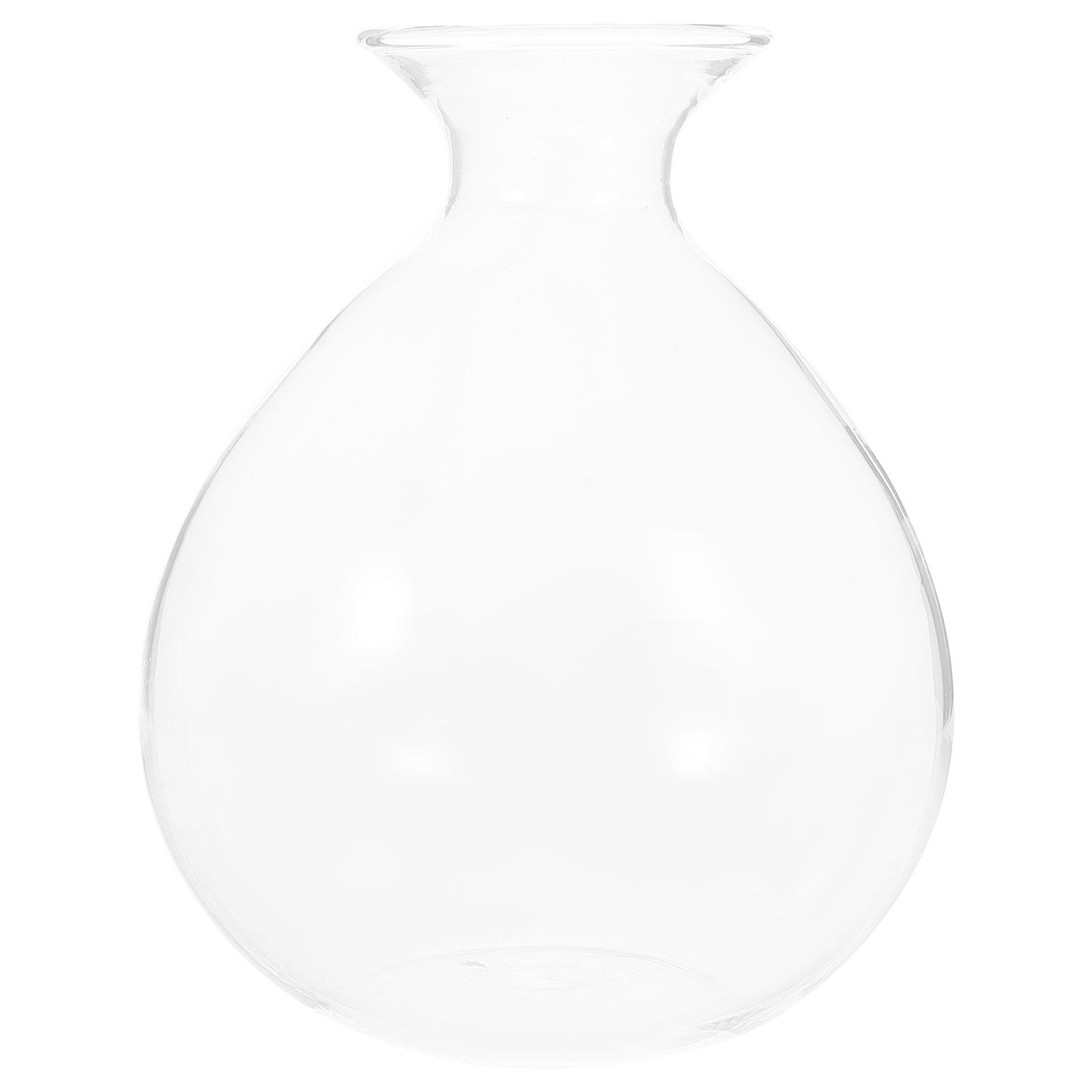 Himition Avocado Tree Flower Vase Water Planting Pot Avocado Tree ...