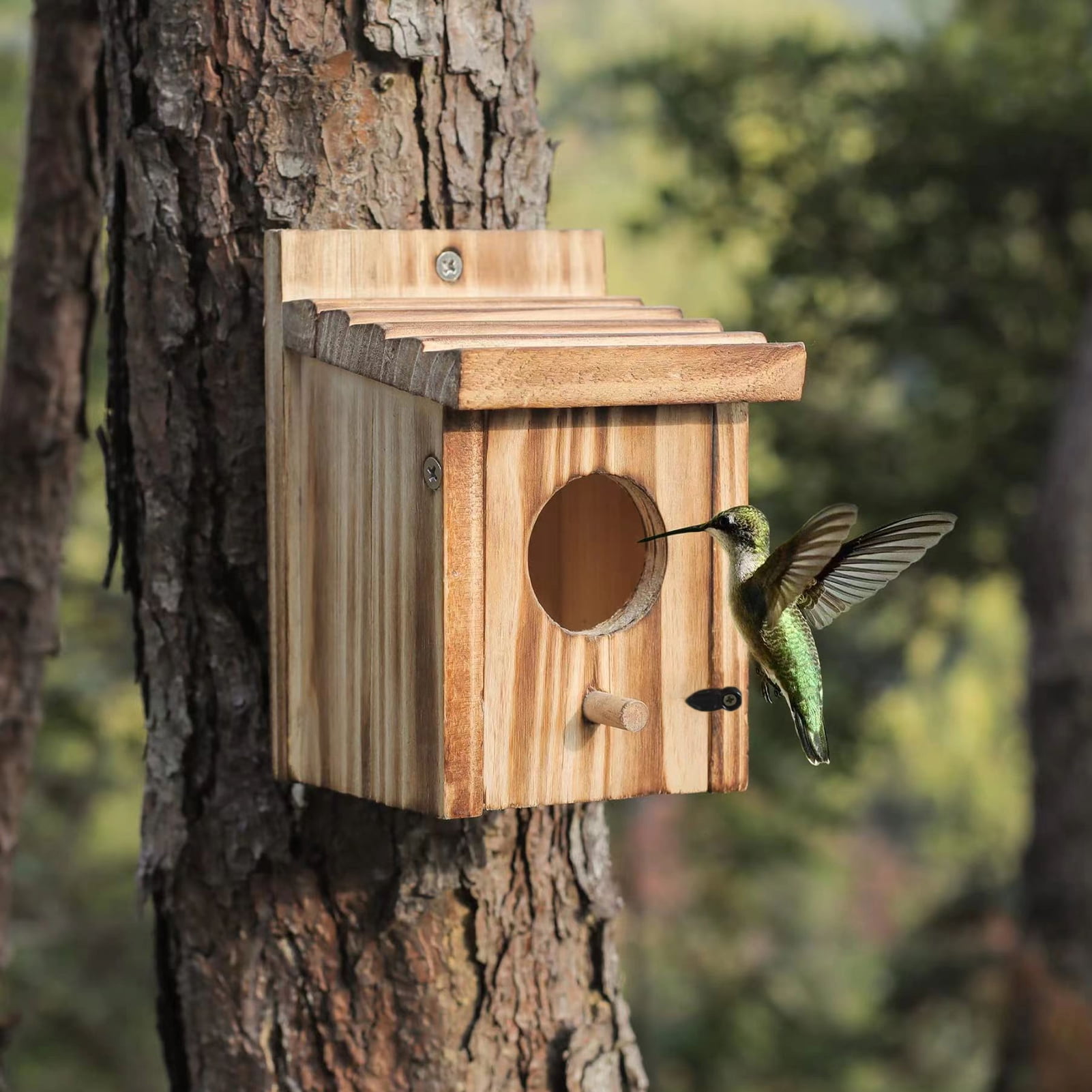 Hioecau Bird Nest,phoe Bird Nest Box Waterproof Wooden Wrens Swallows ...