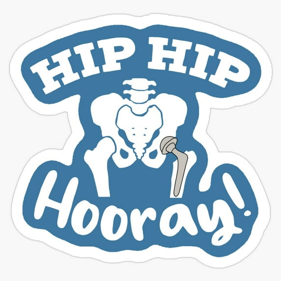 Hip Hip Hooray Sticker Phone Decal Water Bottle Stickers Car Decals ...