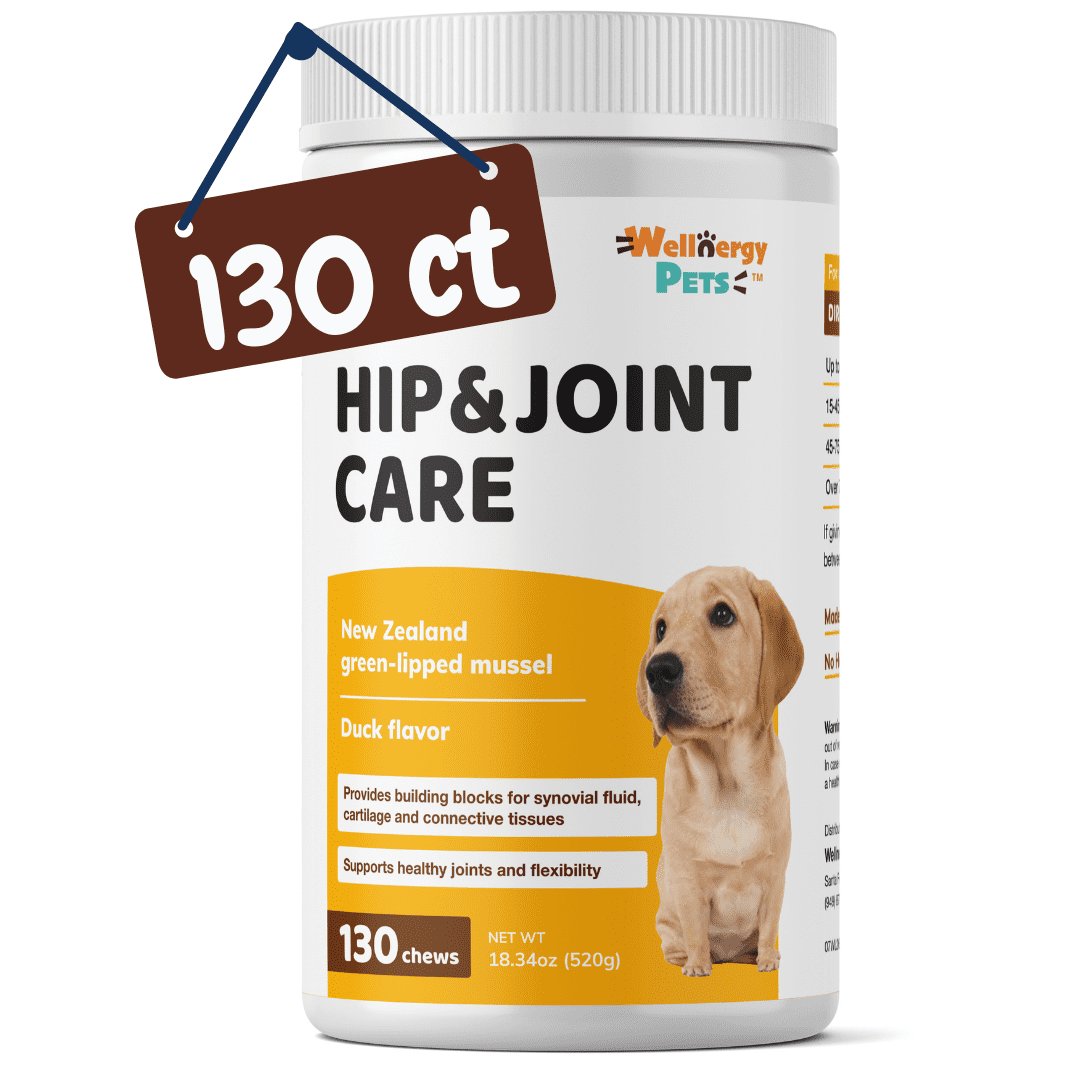 Hip & Joint Care Supplement for Dogs - Glucosamine, Chondroitin, MSM ...