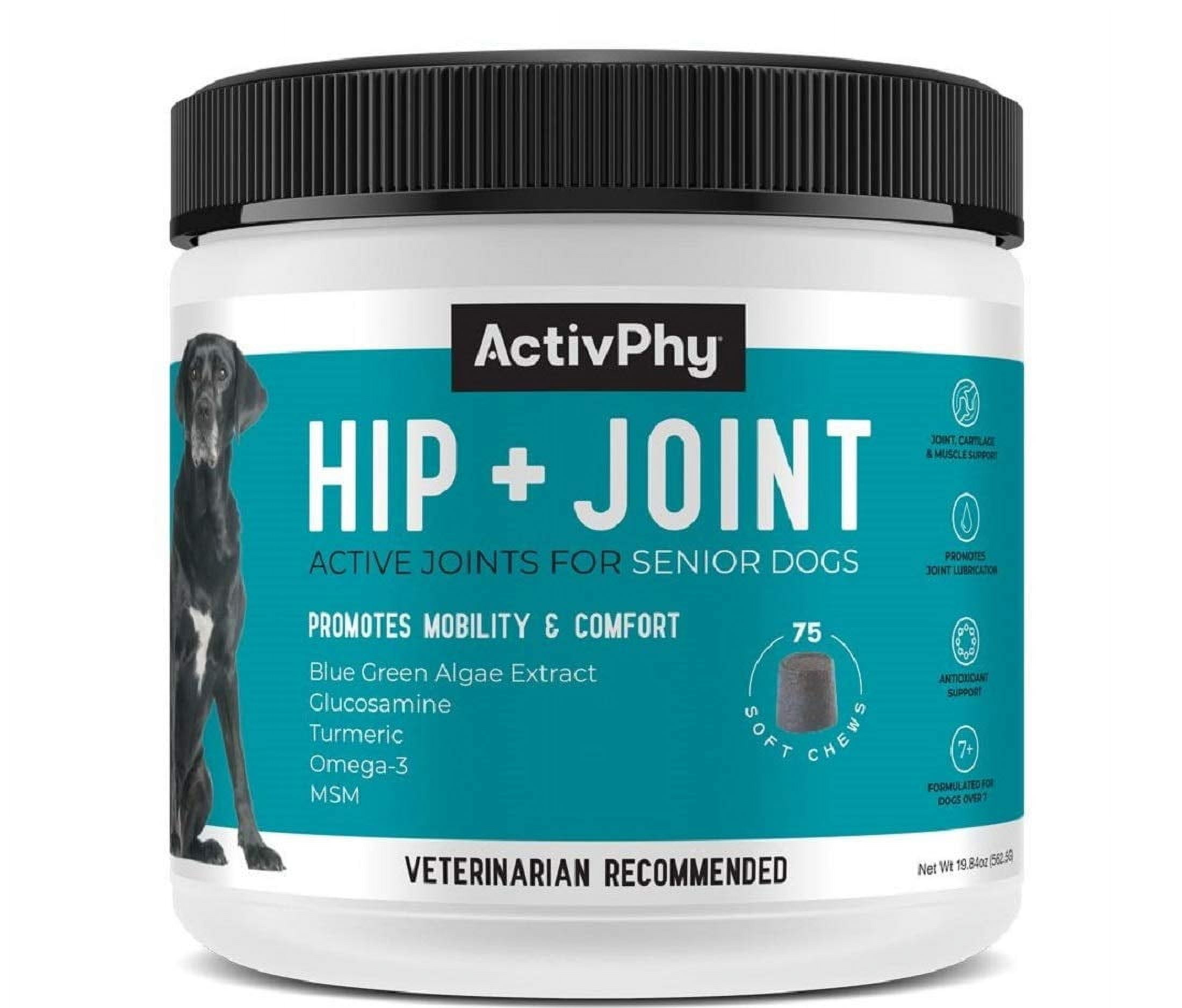 Hip + Joint Supplement with Glucosamine, MSM, Omega 3s, and Turmeric ...