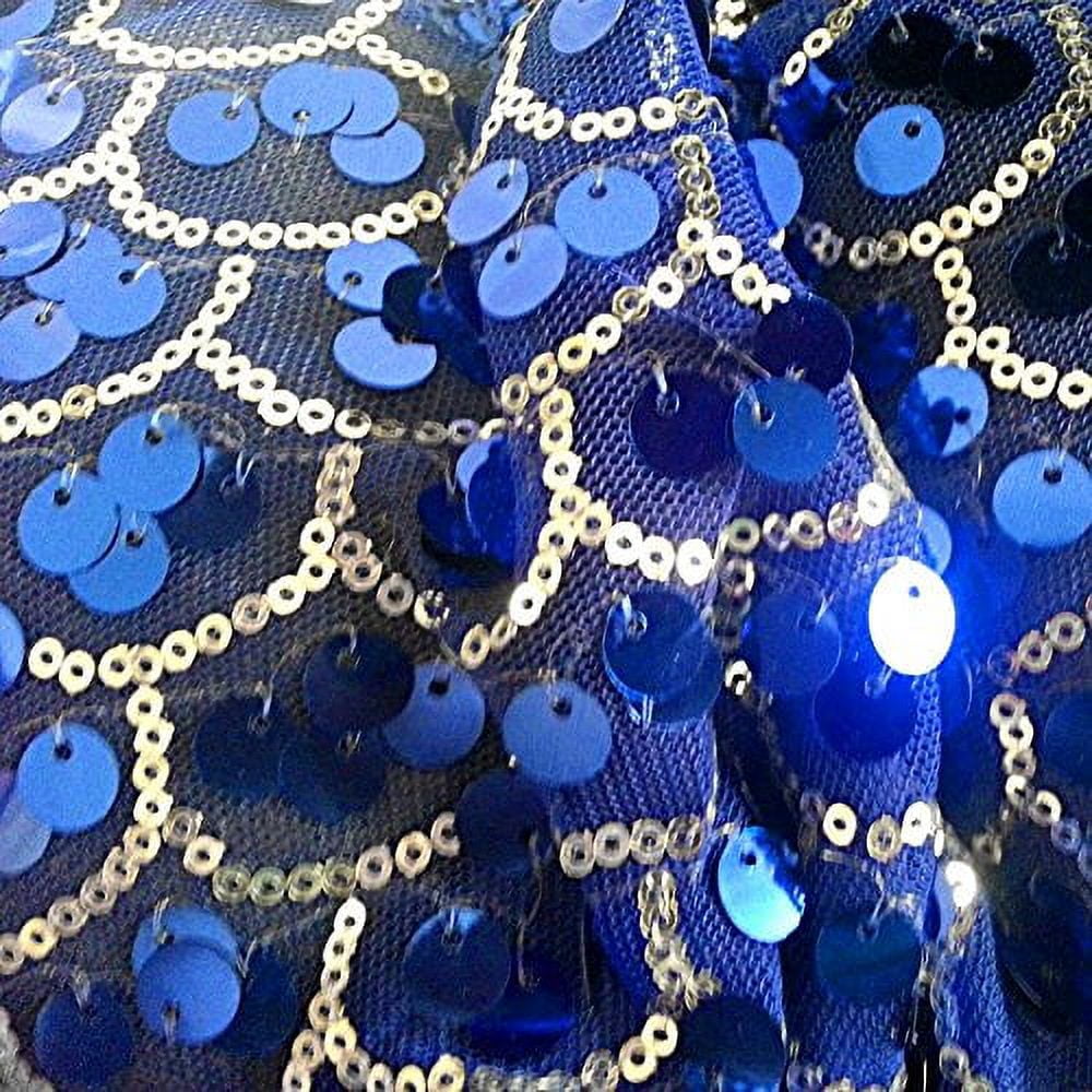 Hip Shakers New Silver Tribal Sequins Mermaid Scale Belly Dance Costume ...