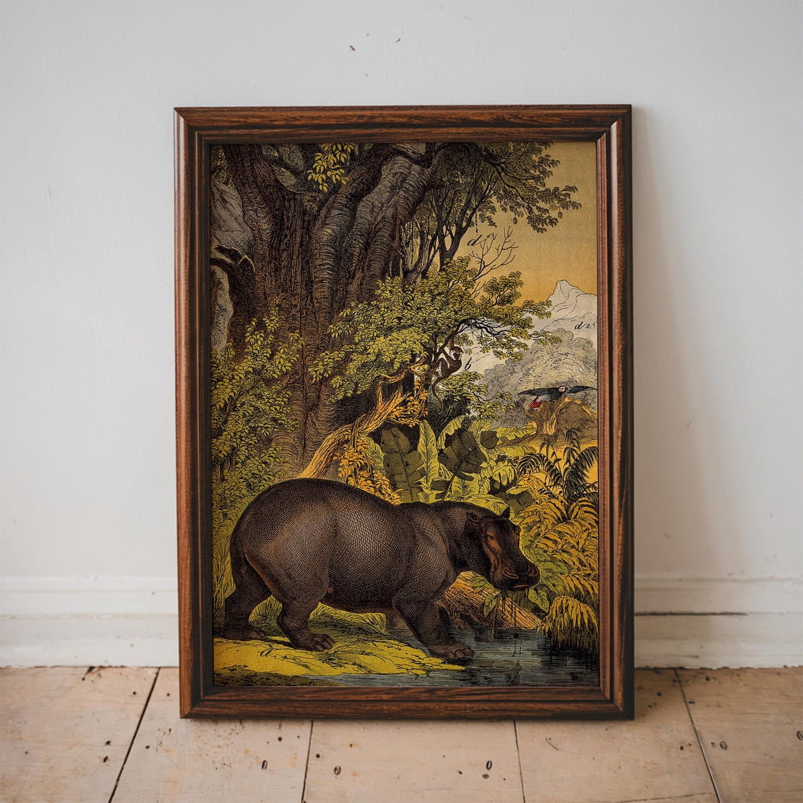 Hippo Drinking From A Stream In a Jungle Vintage Tropical Animal Art ...