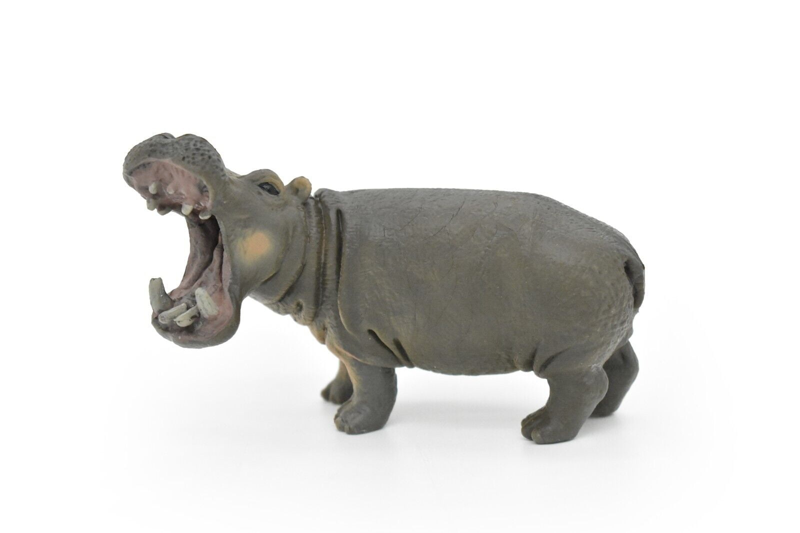 Hippo Toy, Hippopotamus, Museum Quality Rubber Figure, Model ...