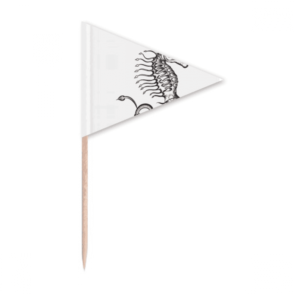 Hippocampus Marine Life Illustration Toothpick Triangle Cupcake Toppers ...