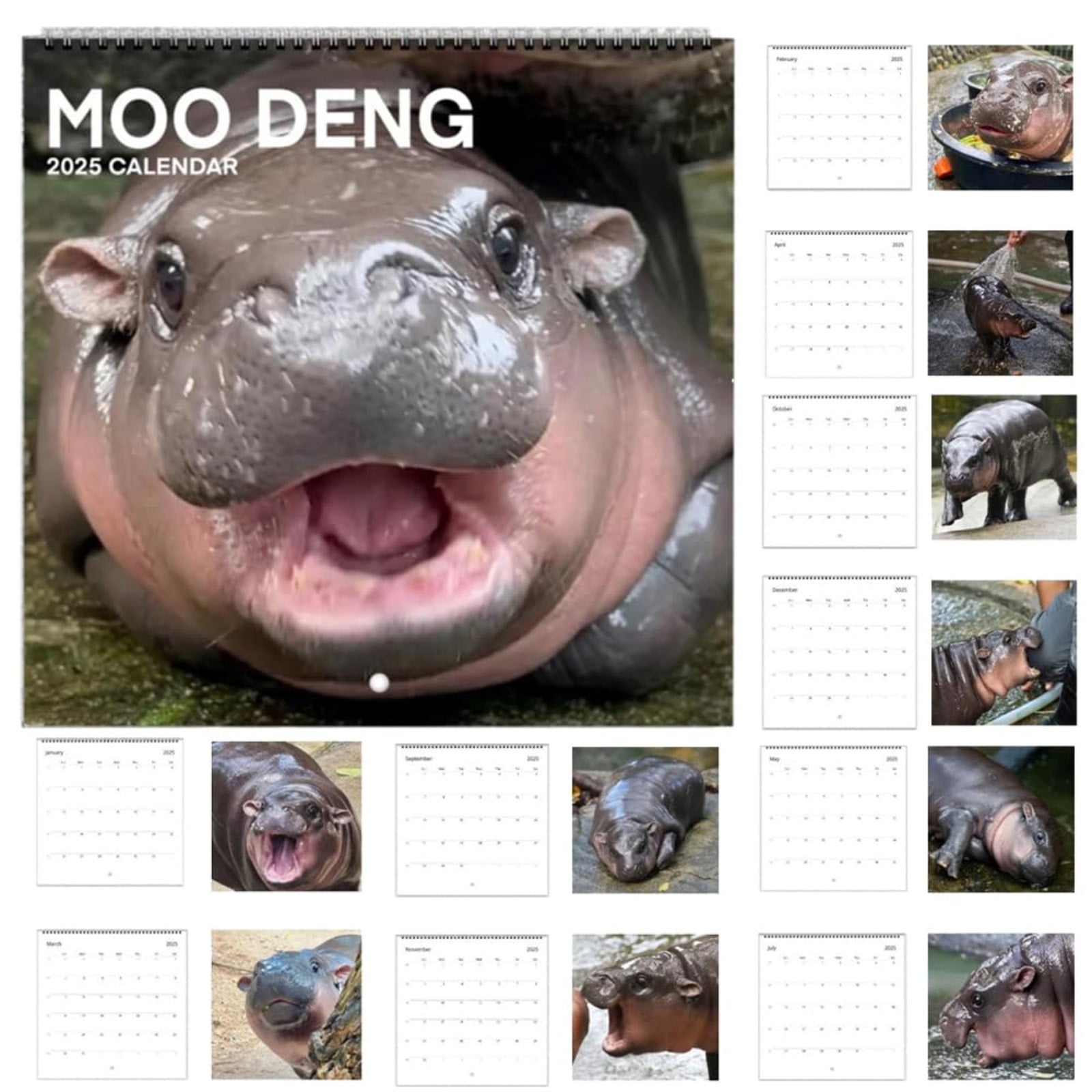 Hippopotamus 2025 Calendar - Hangable Animal Lovers Wall Planner (30x25cm) - Walmart.com