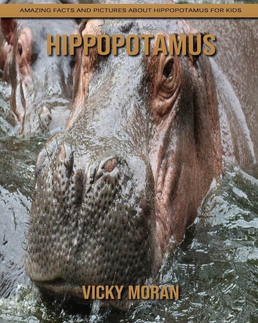 Hippopotamus : Amazing Facts and Pictures about Hippopotamus for Kids ...
