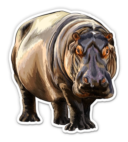 Hippopotamus Hippo - 3" Vinyl Sticker - For Car Laptop Water Bottle ...