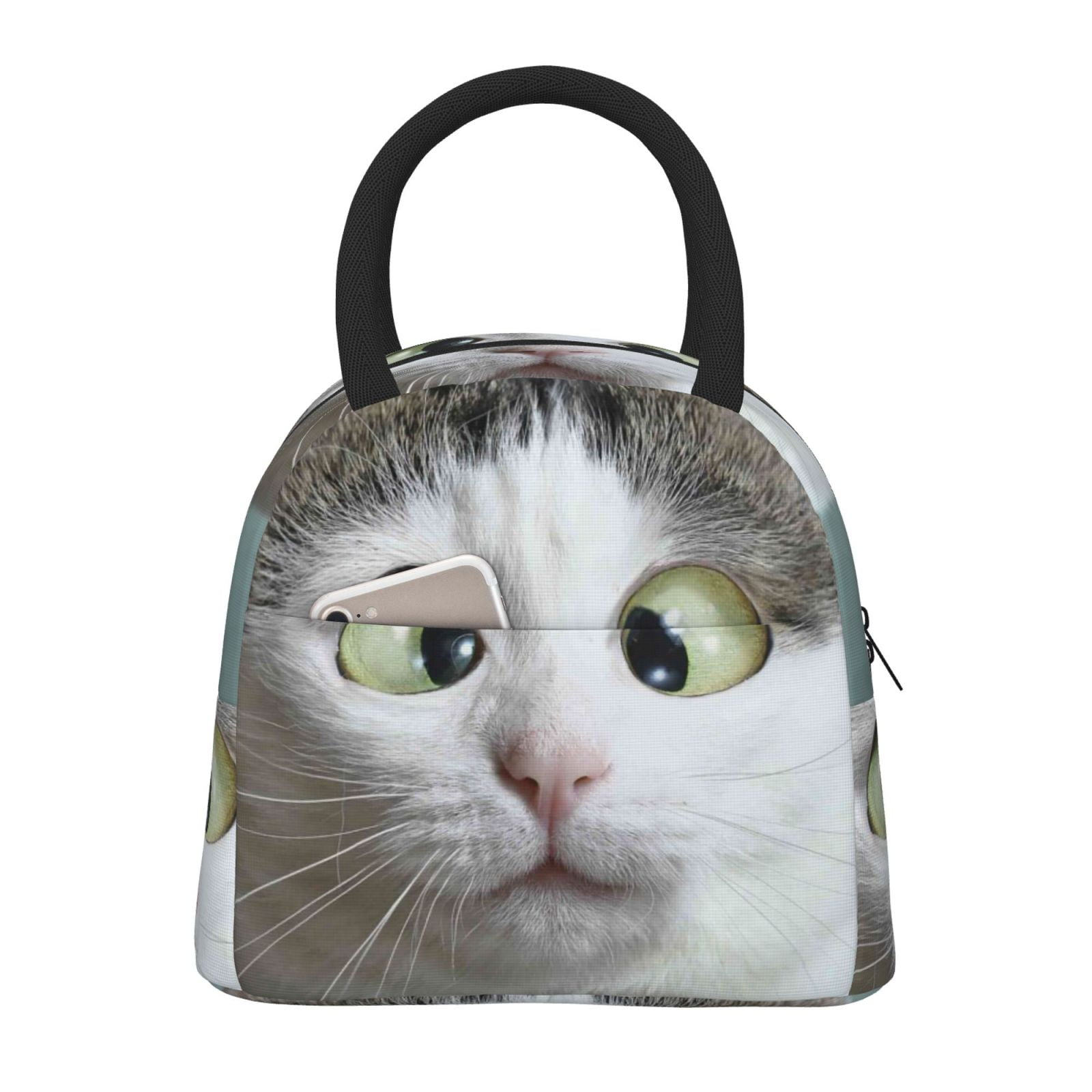 Hirioo Funny Cat for Eco-friendly Lunch Box,Leakproof Lunch Box for ...