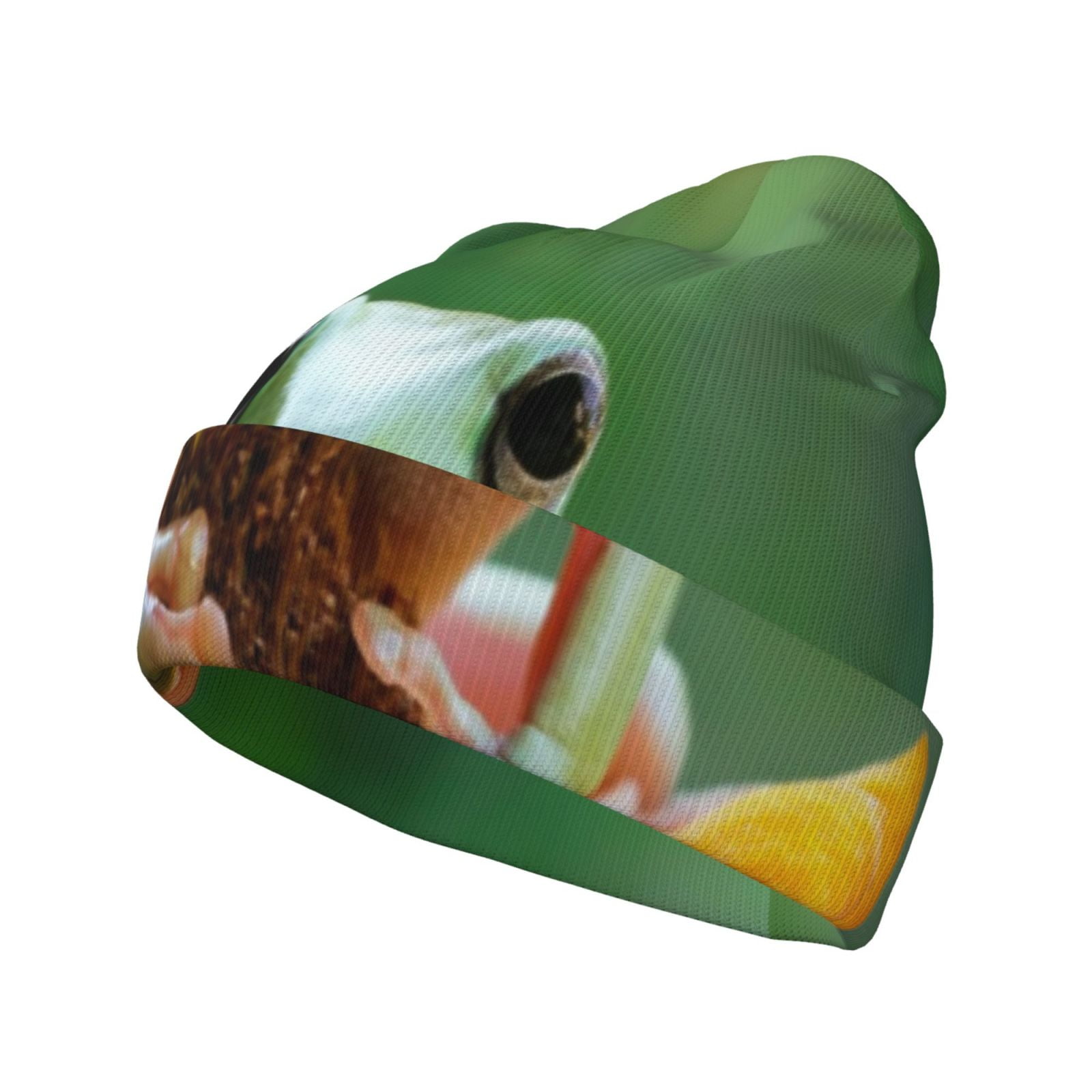Hirioo Tree Frog Sitting On Sunflowes for Men's Knit Cuffed Beanie for ...