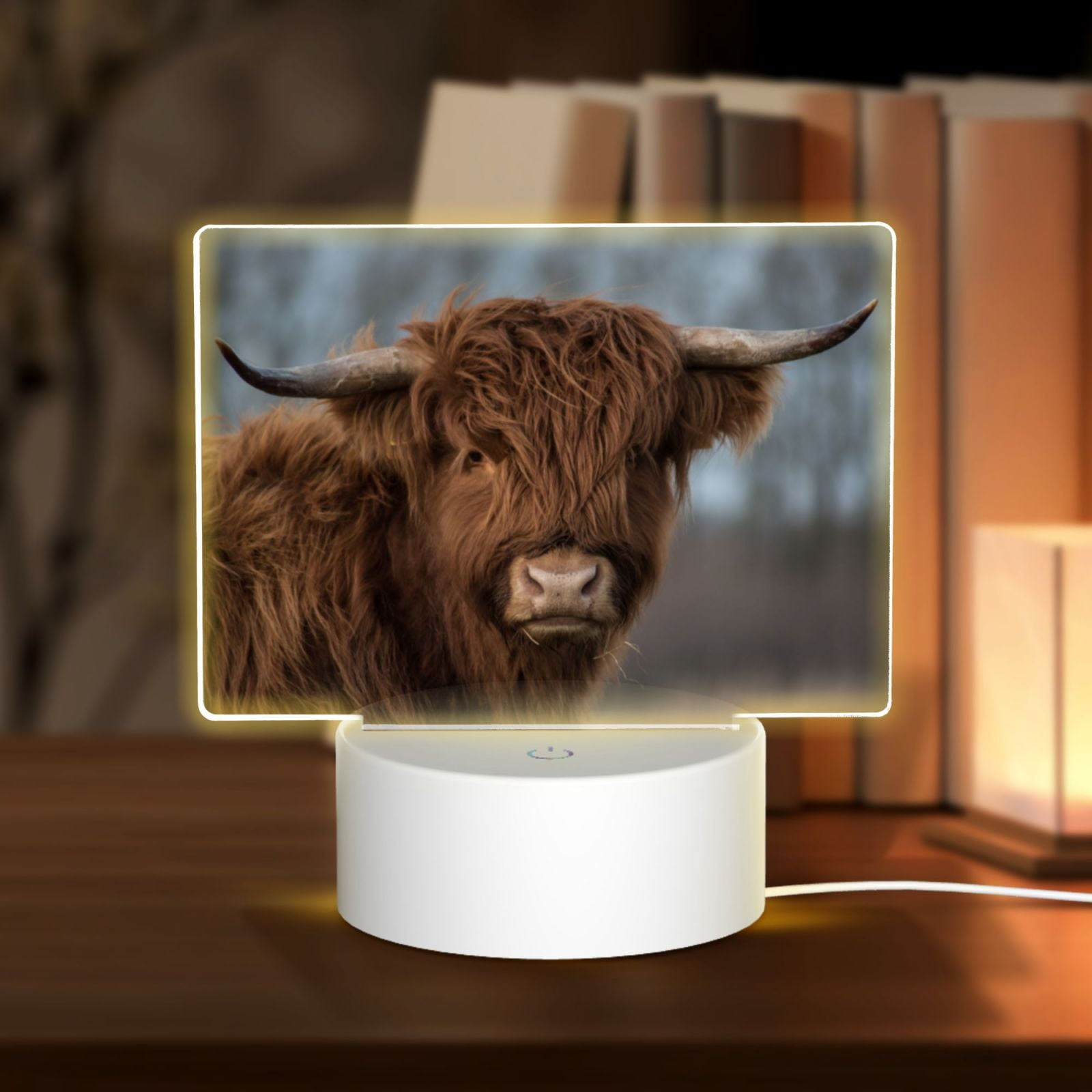 Hirioo Yak for Rectangular Acrylic with Night Light Best Gifts for ...