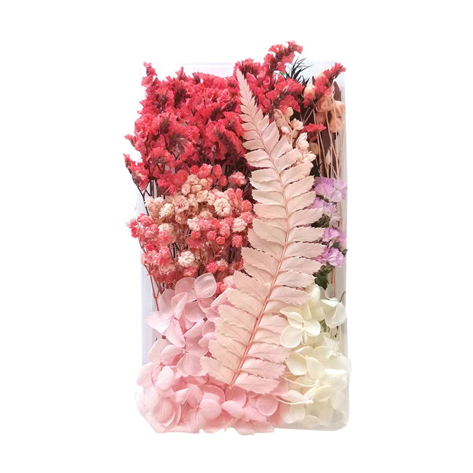 Hiroekza Valentines Day Decorations, Dried Flowers Material Kit Diy Everlasting Flowers Material ...