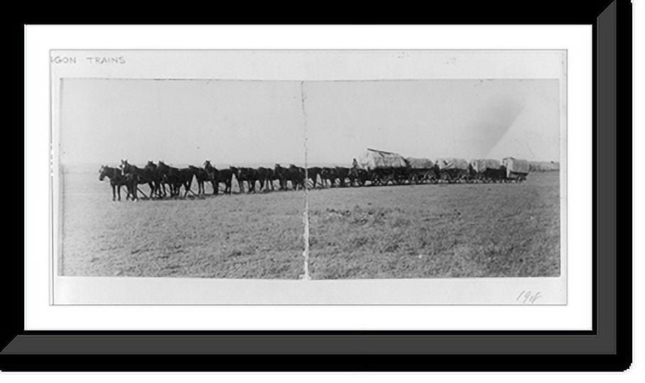 Historic Framed Print, [12 horses pulling 5 wagons, which are connected ...