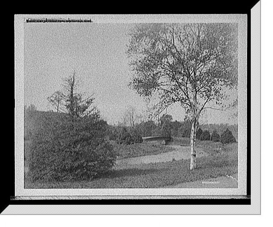 Historic Framed Print, A Bit of Forest Park, Springfield, Mass., 17-7/8 ...