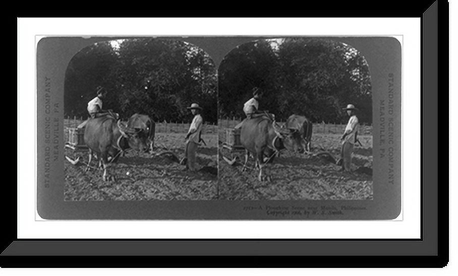 Historic Framed Print, A ploughing scene near Manila, Philippines, 17-7/8" x 21-7/8" - Walmart.com