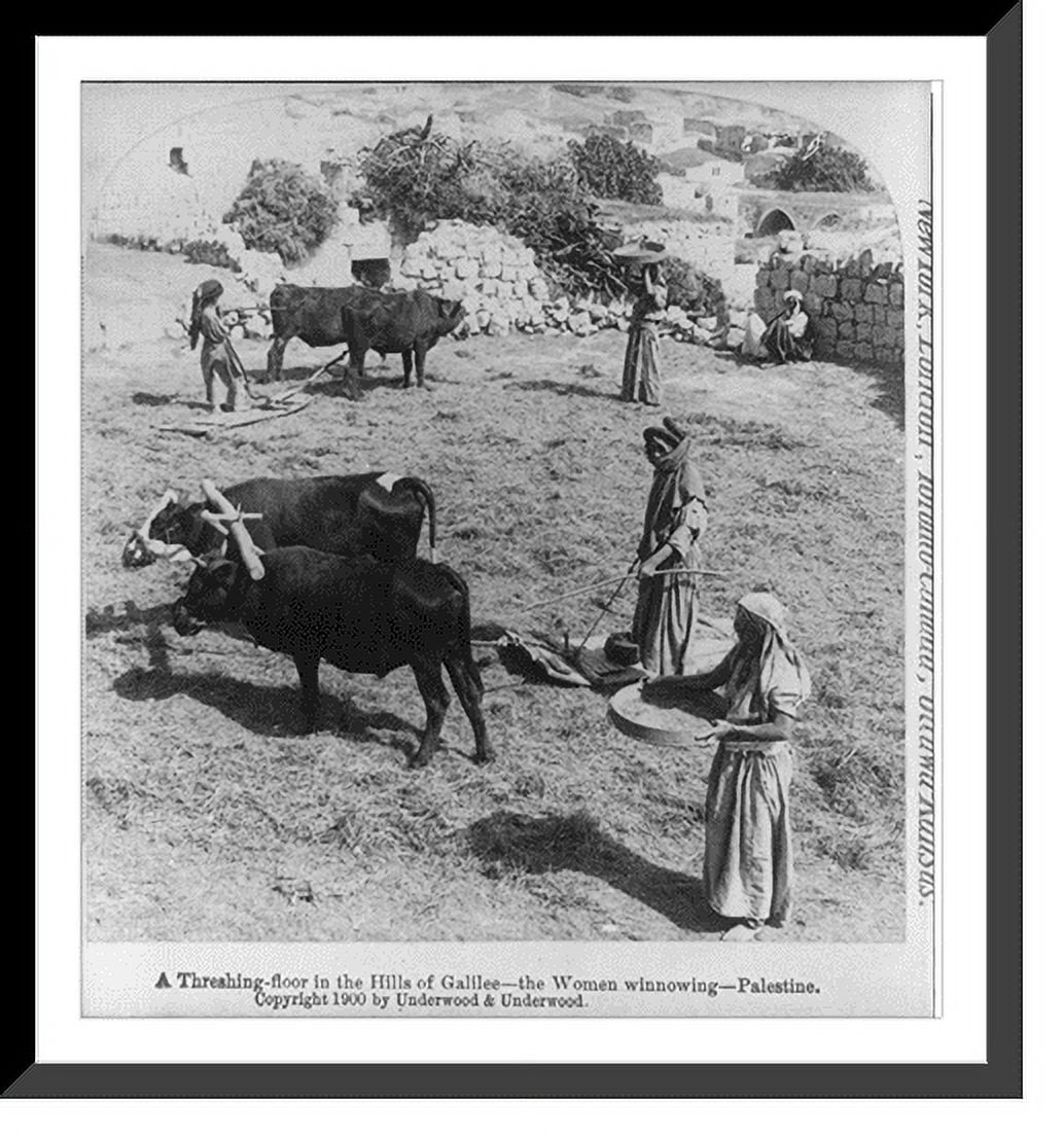 Historic Framed Print, A threshing floor in the hills of Galilee - the ...
