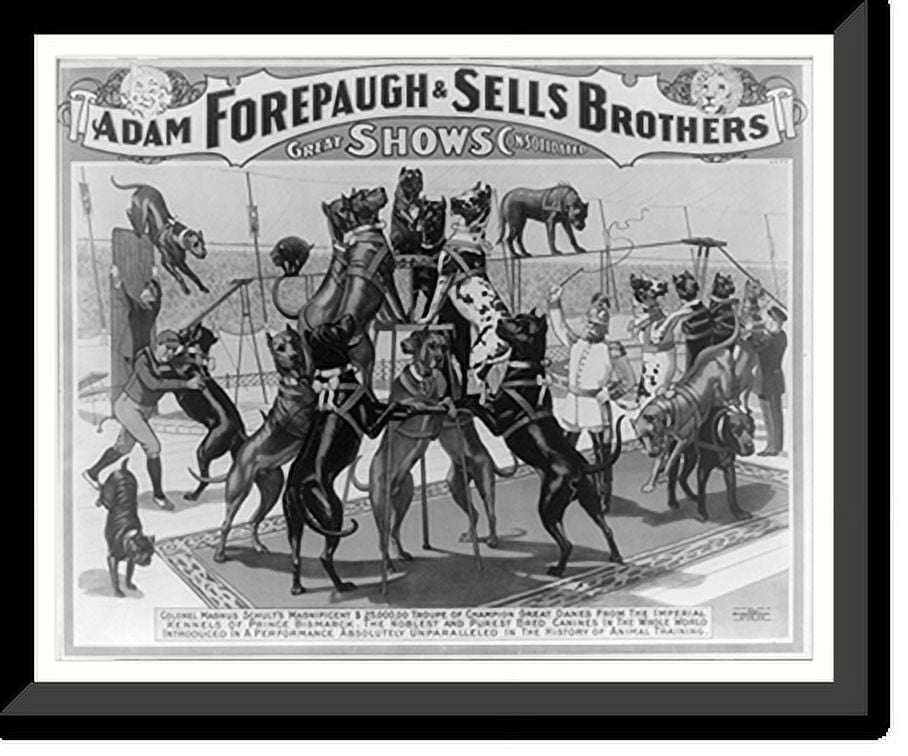 Historic Framed Print, Adam Forepaugh and Sells Brothers great shows ...