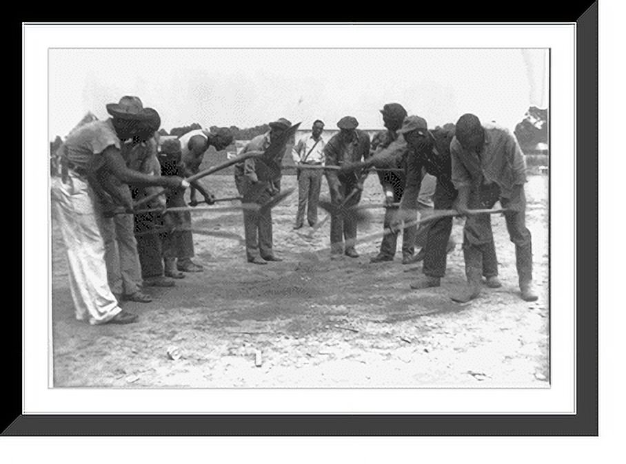Historic Framed Print, [African American convicts working with shovels ...