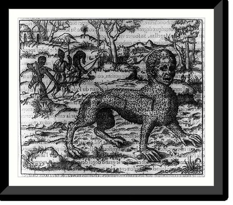 Historic Framed Print, [African monster" - wooly, with dog-like body ...