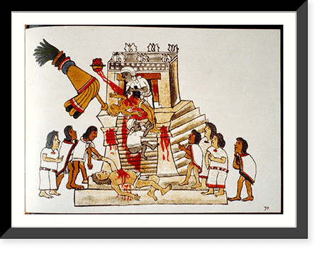 Historic Framed Print, [Aztec priest performing the sacrificial ...