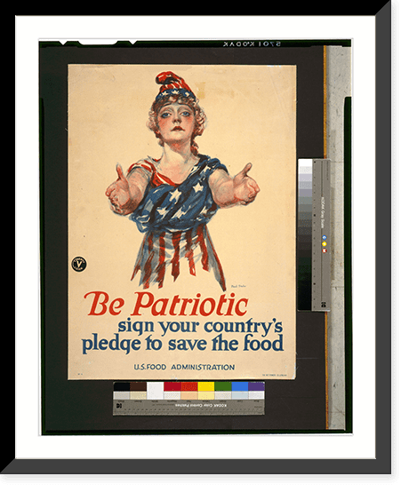 Historic Framed Print, Be patriotic. sign your country's pledge to save ...