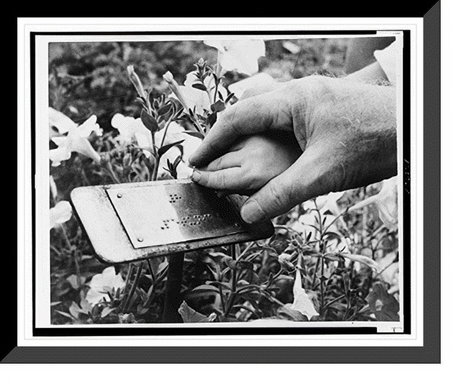 Historic Framed Print, Braille plates mark the beds of flowers, 17-7/8 ...