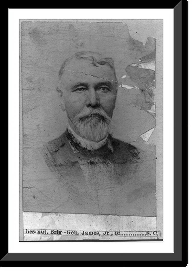 Historic Framed Print, [Brigadier General James Chesnut, 1815-1885 ...