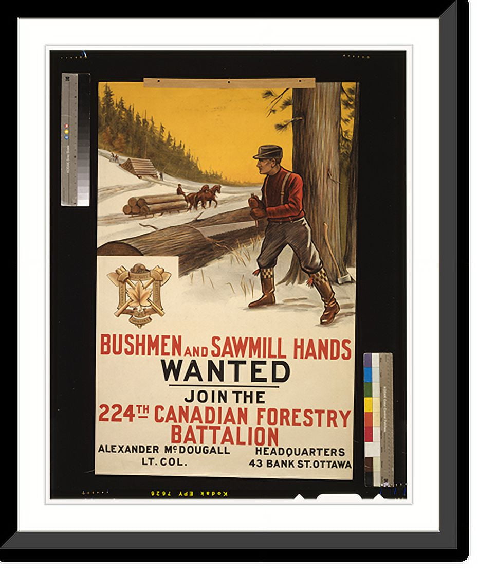Historic Framed Print, Bushmen and sawmill hands wanted. Join the 224th ...