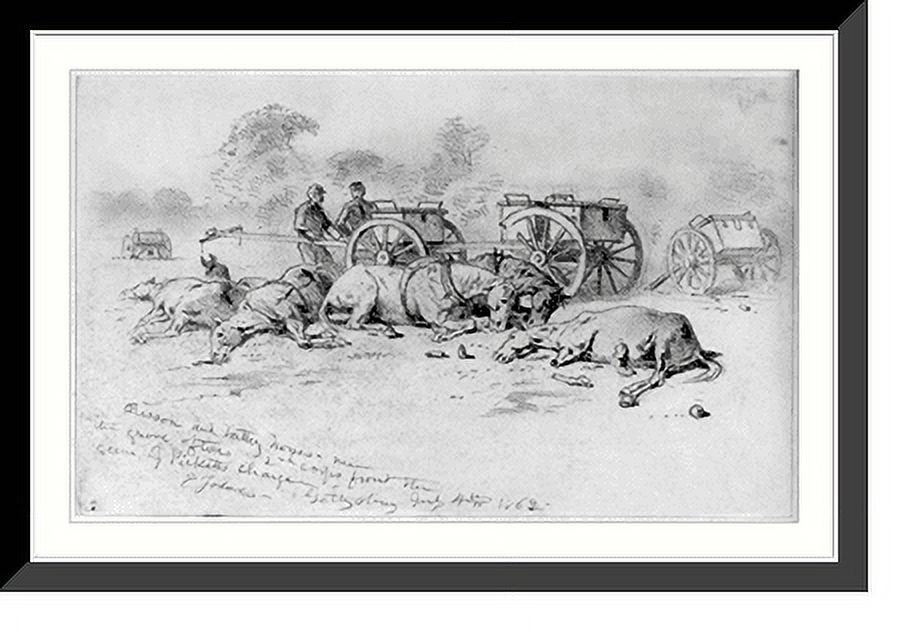Historic Framed Print, Caisson and battery horses - near the grove of ...