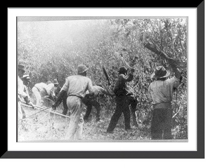 Historic Framed Print, Canal Zone, Republic of Panama: Machete men ...