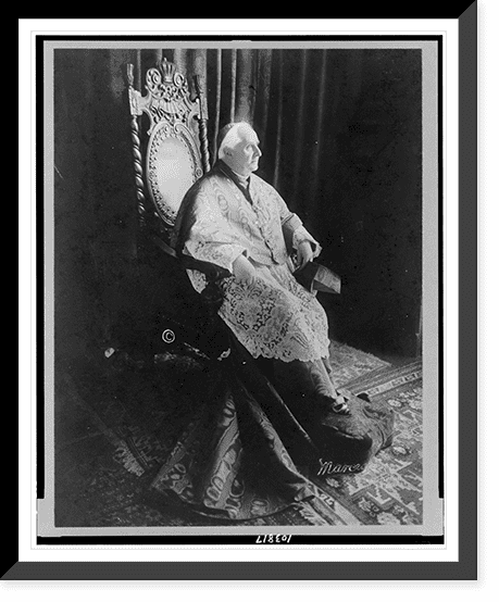 Historic Framed Print, [Cardinal John Murphy Farley, full-length ...